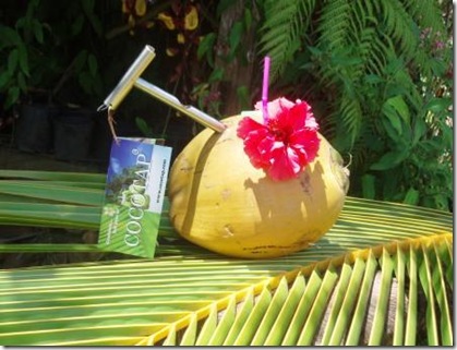 Online Garden Plants Australia: COCOTAP - The EASY way to drink Coconut ...